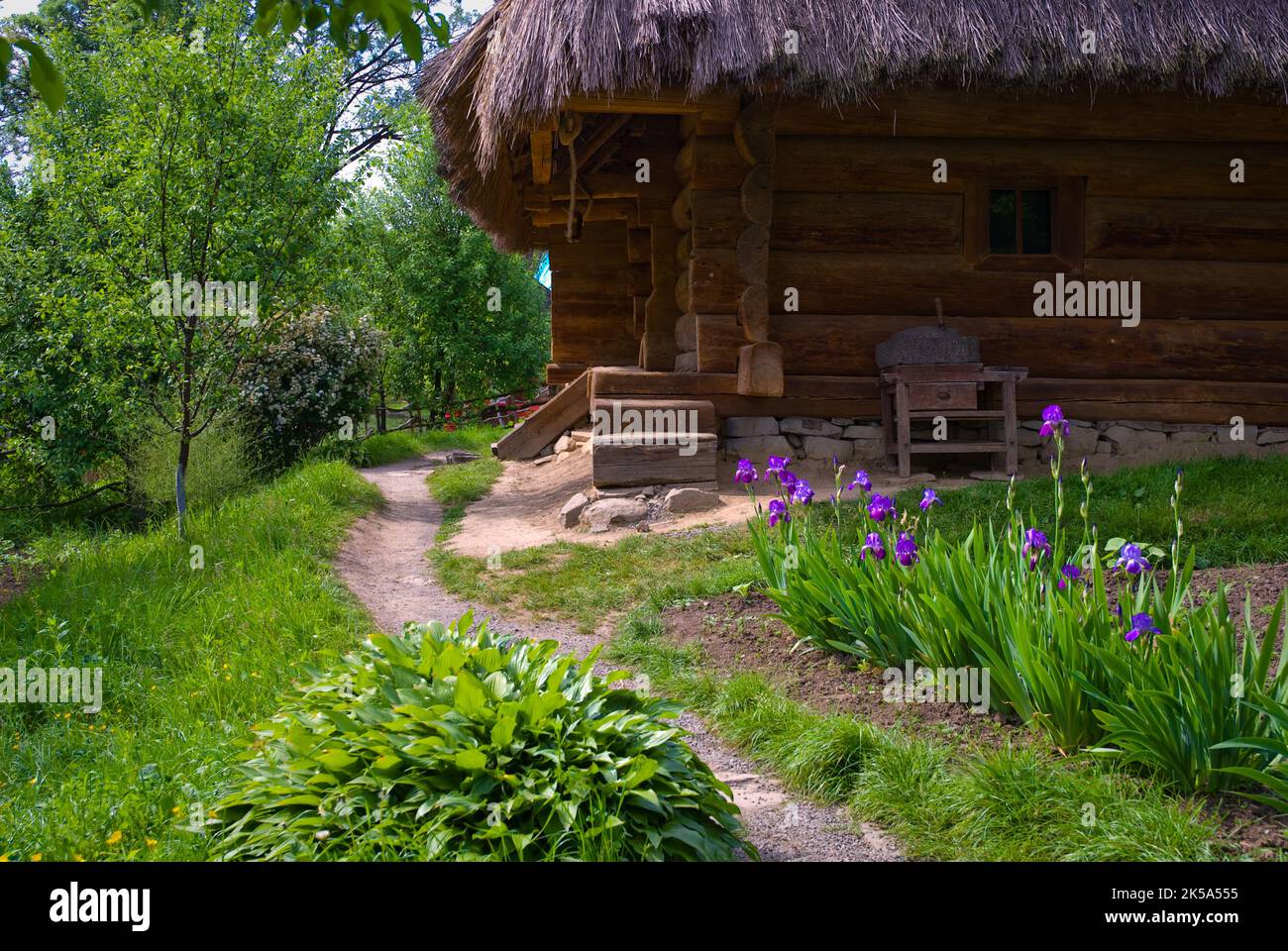 Ukraine steppe trees hi-res stock photography and images - Alamy