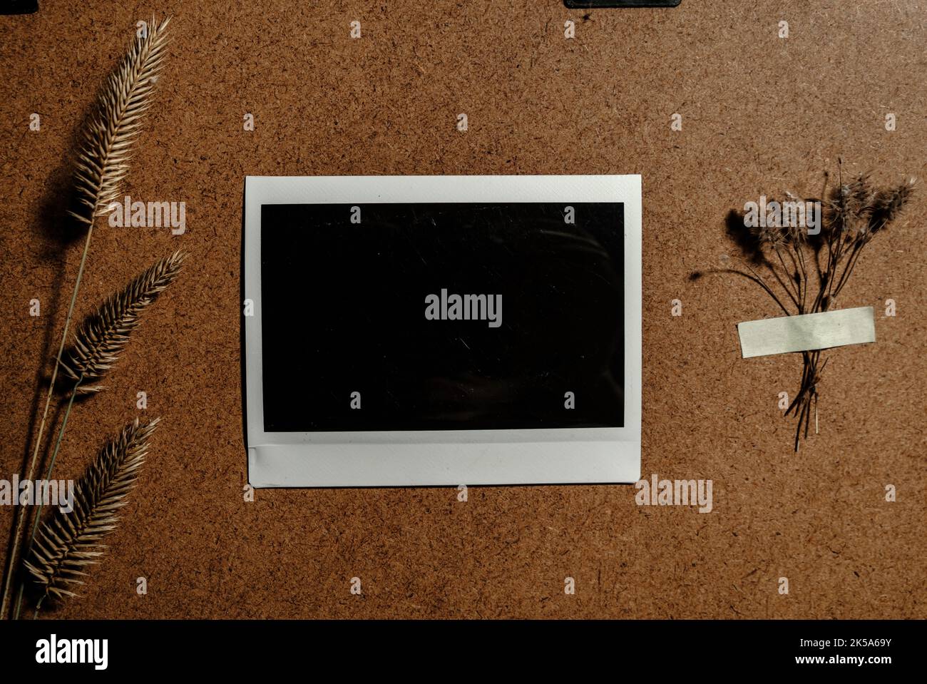 Wide photo frame for picture or memories. Download Decorative template ...