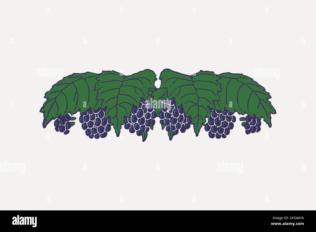 Grapes clipart, fruit illustration vector Stock Vector Image & Art - Alamy