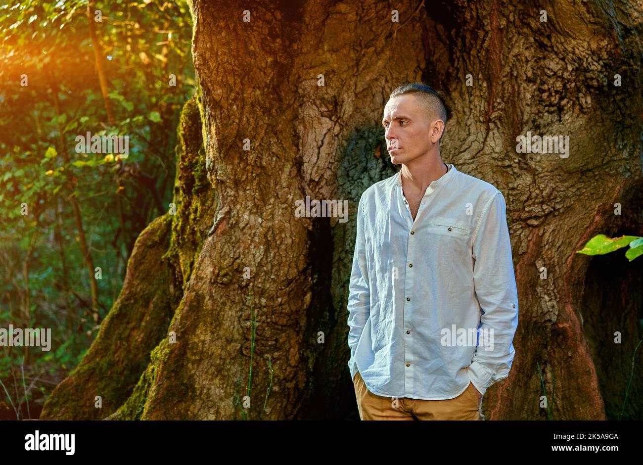 guy walks in a mysterious forest Stock Photo - Alamy