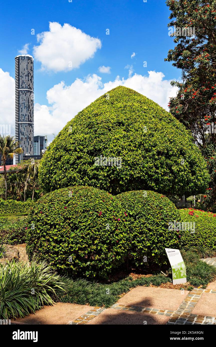 Brisbane Australia / The beautiful Roma Street Gardens in Spring Hill ...