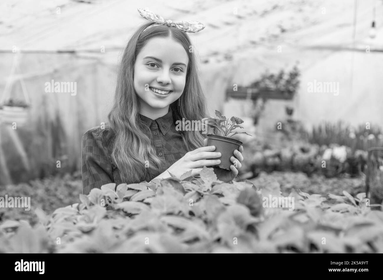 happy teen girl florist planting pot plants in greenhouse, gardening ...