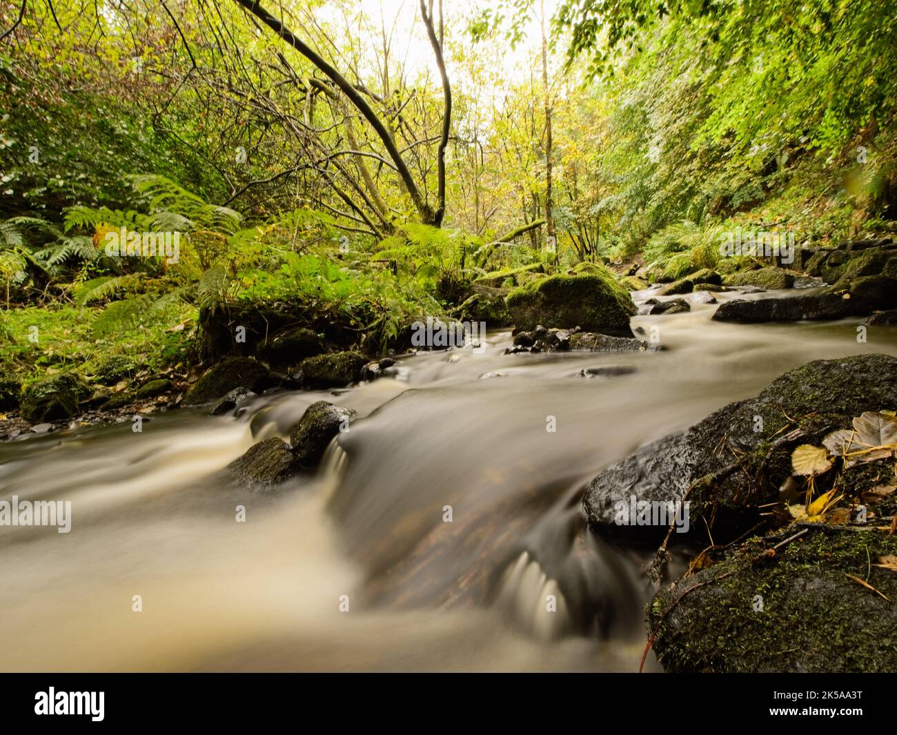 The stream at Wyming Brook near Sheffield Stock Photo - Alamy
