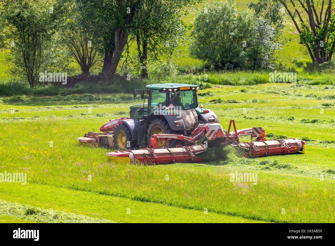 Green grass cutting lawn hi-res stock photography and images - Alamy