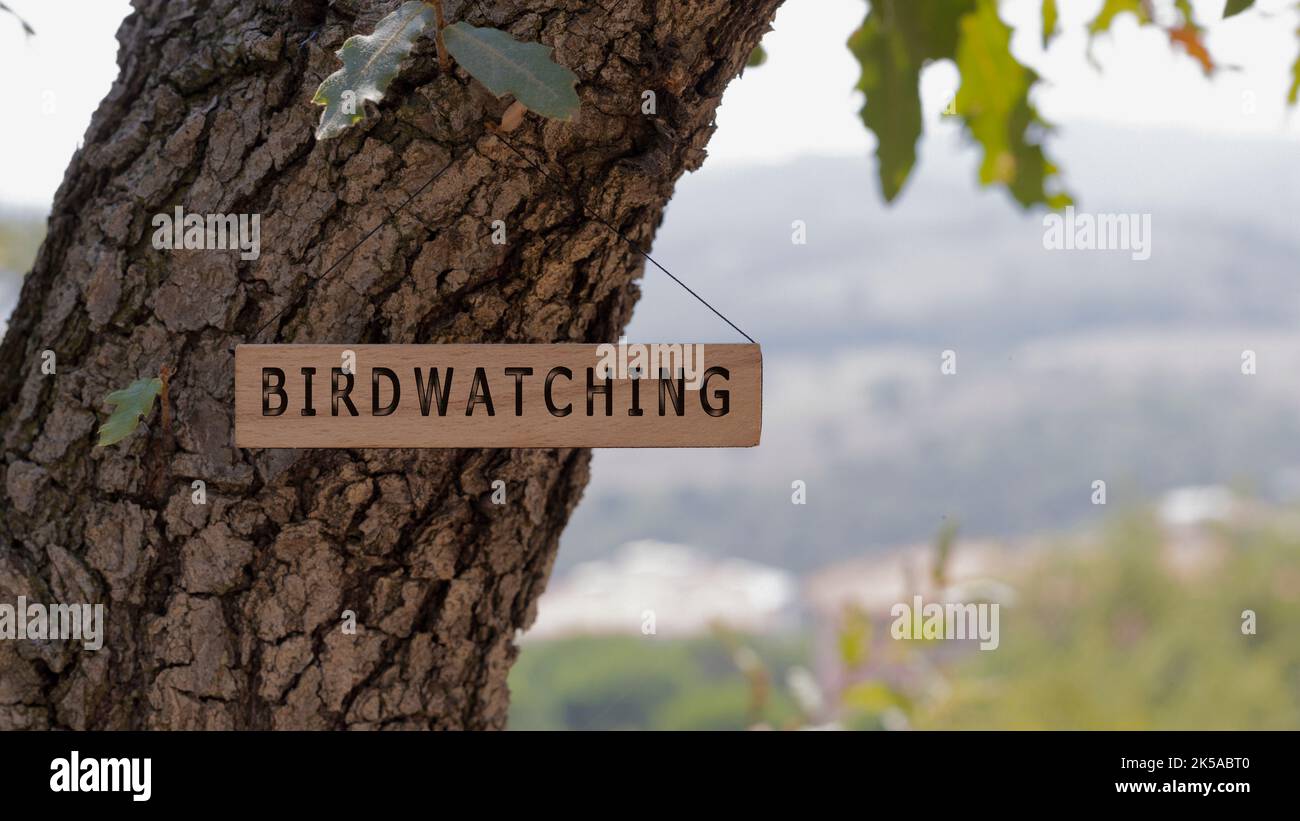 birdwatching. Written on wooden surface. Background tree leaves. health ...