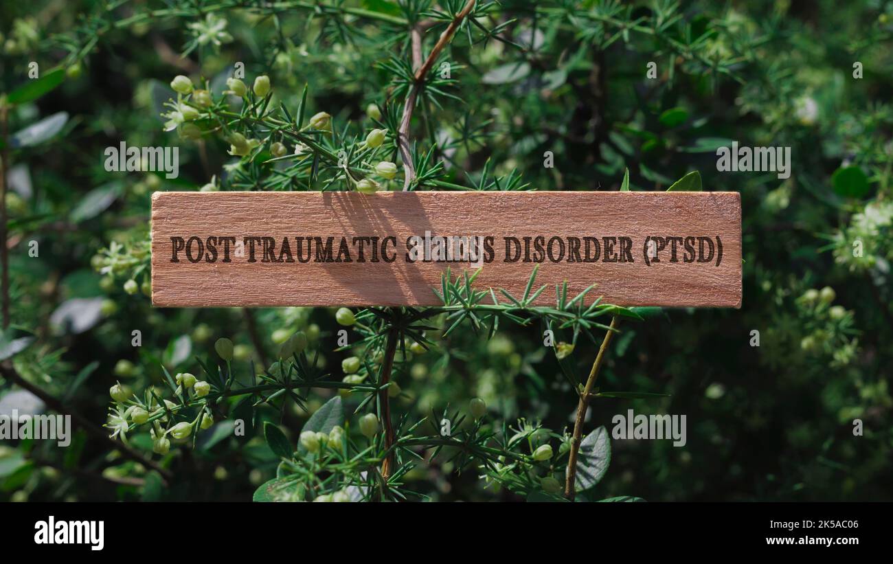 PTSD . Written on wooden surface. Background tree leaves. Health and ...