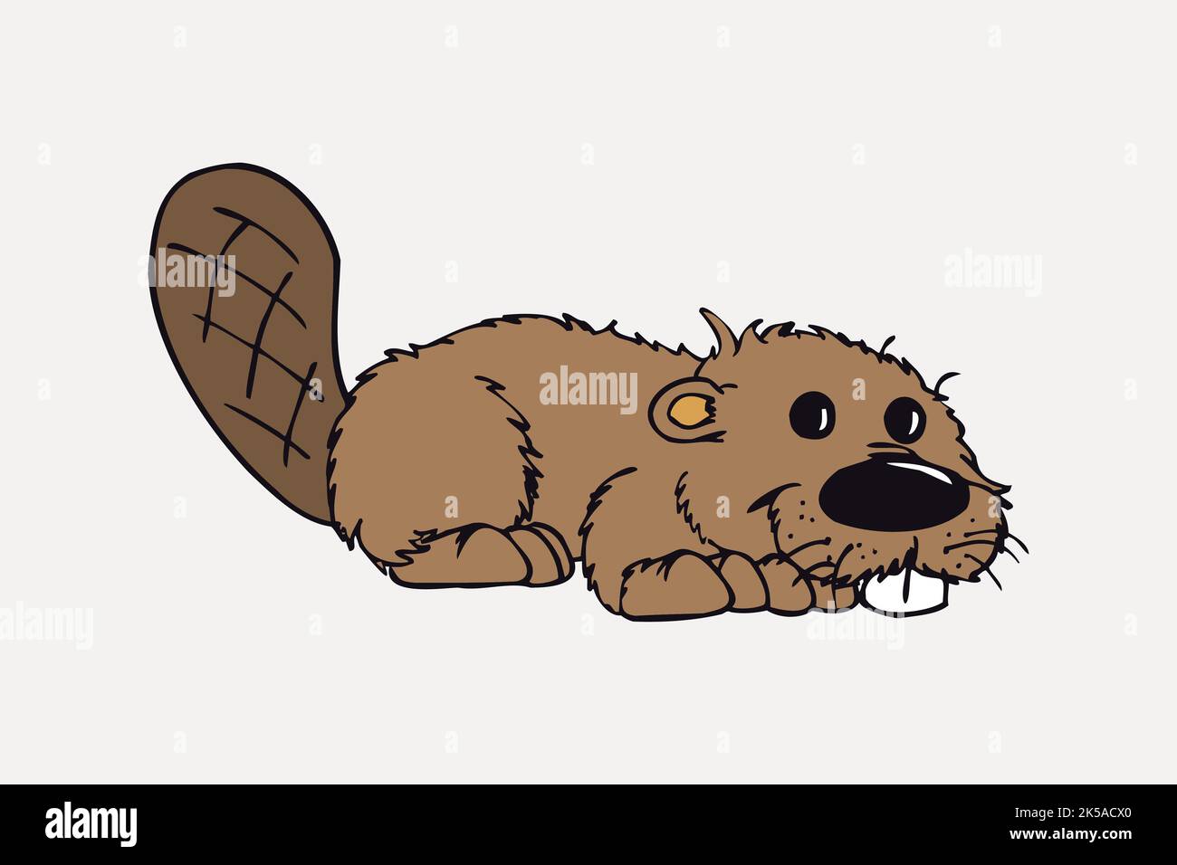 Beaver collage element, cute illustration vector Stock Vector Image ...