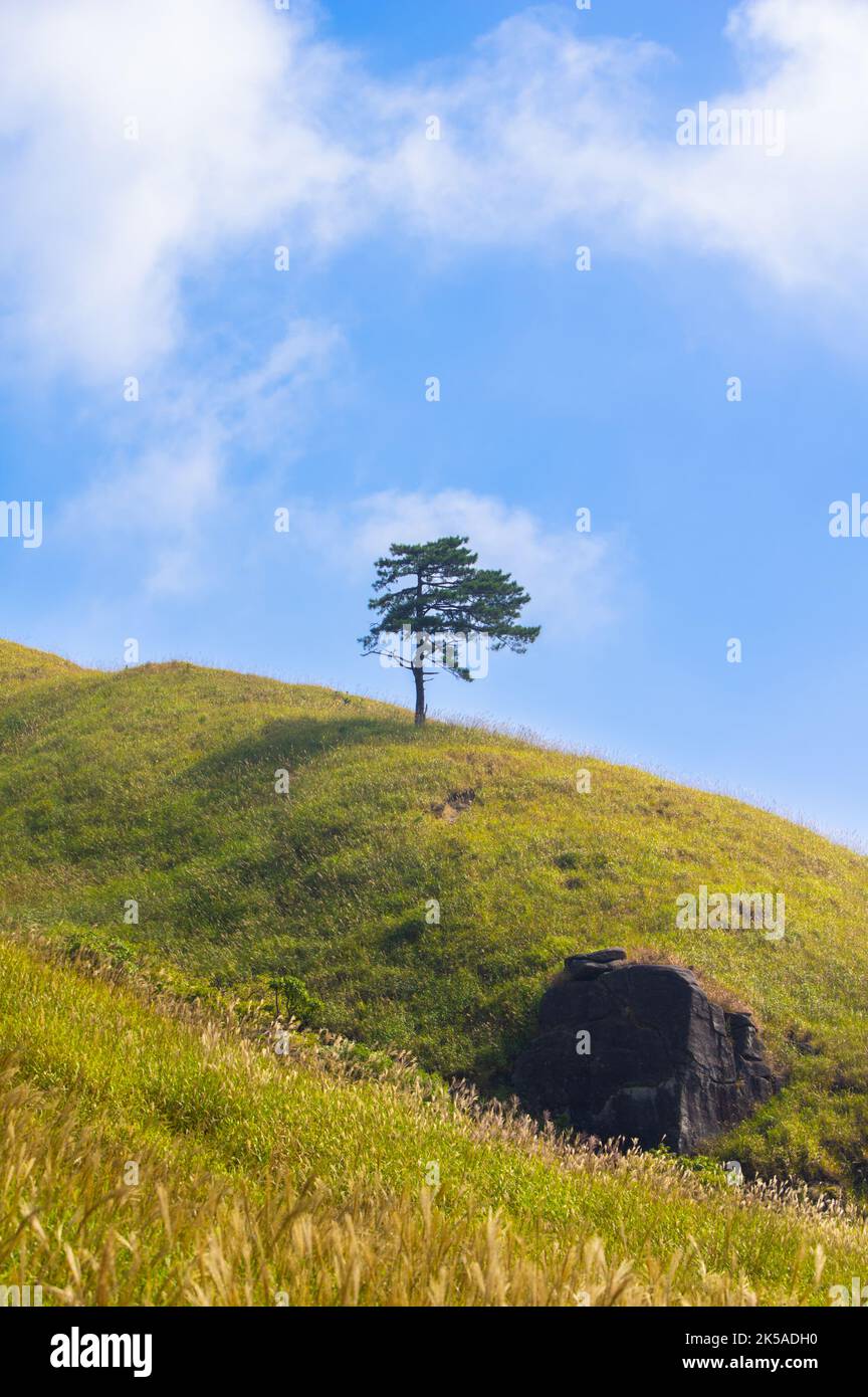 The early autumn scenery of Wugong Mountain Natural Scenic Area ...