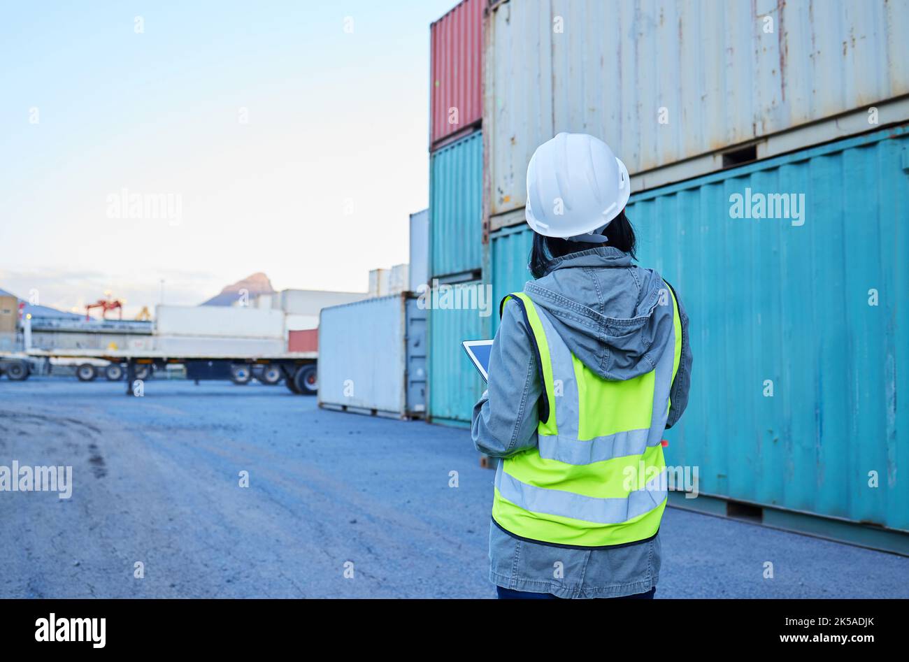 Back view, delivery and woman in logistics working on container inspection at export delivery ...