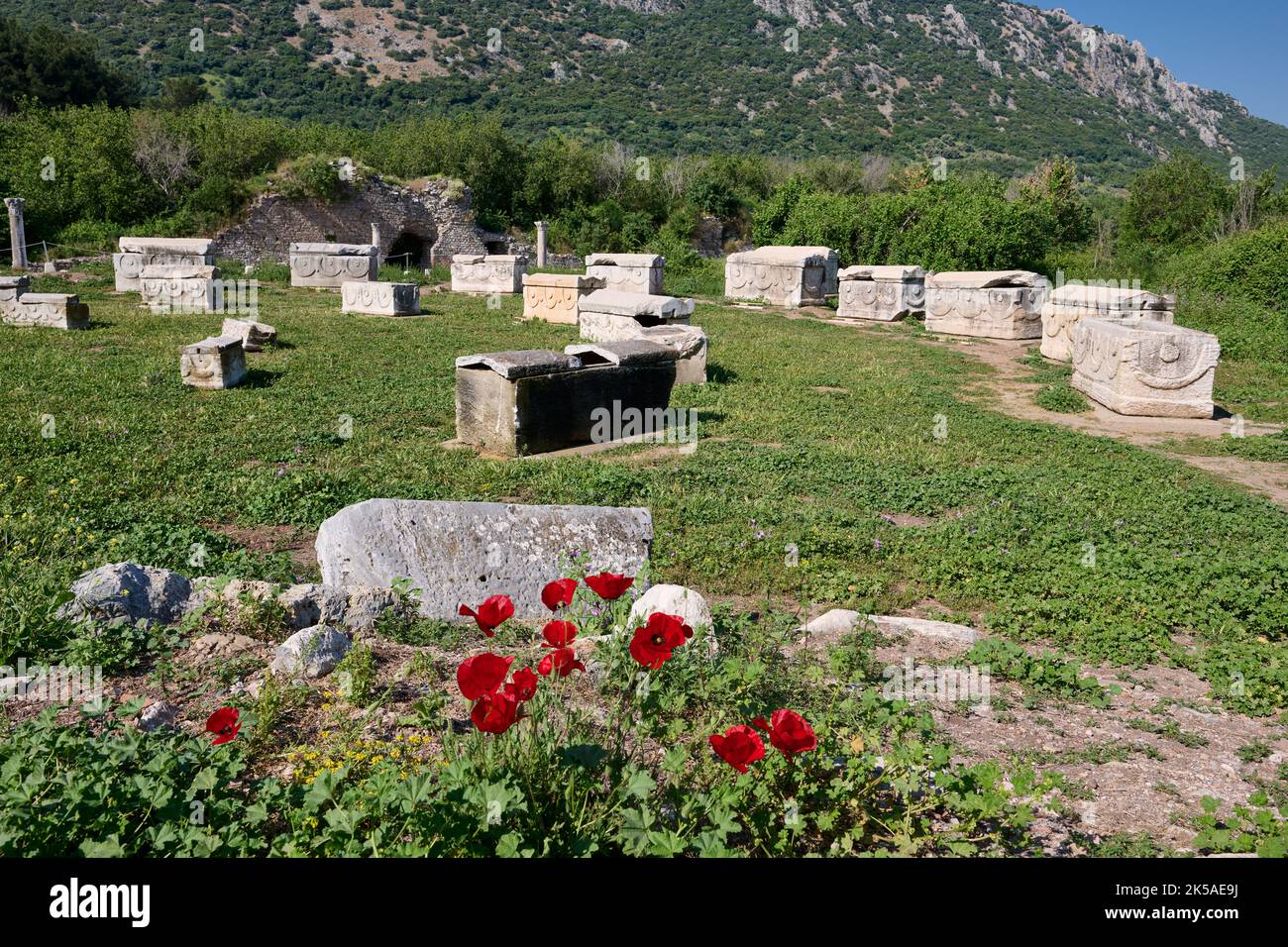 Ephesus Archaeological Site, Selcuk, Turkey Stock Photo - Alamy