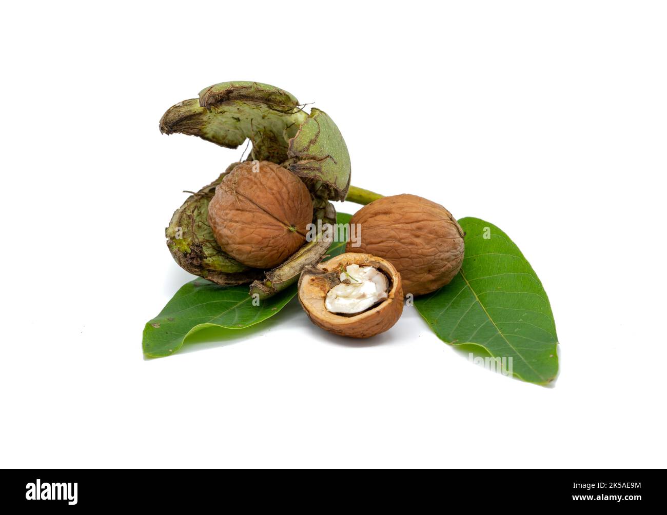 fresh walnut with shell isolated on white background Stock Photo - Alamy