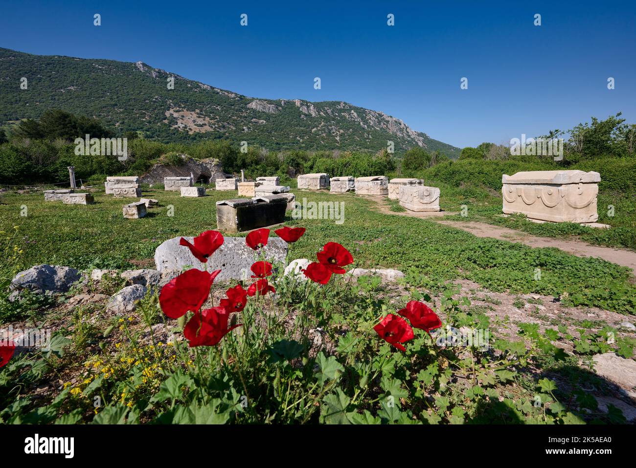 Ephesus Archaeological Site, Selcuk, Turkey Stock Photo - Alamy
