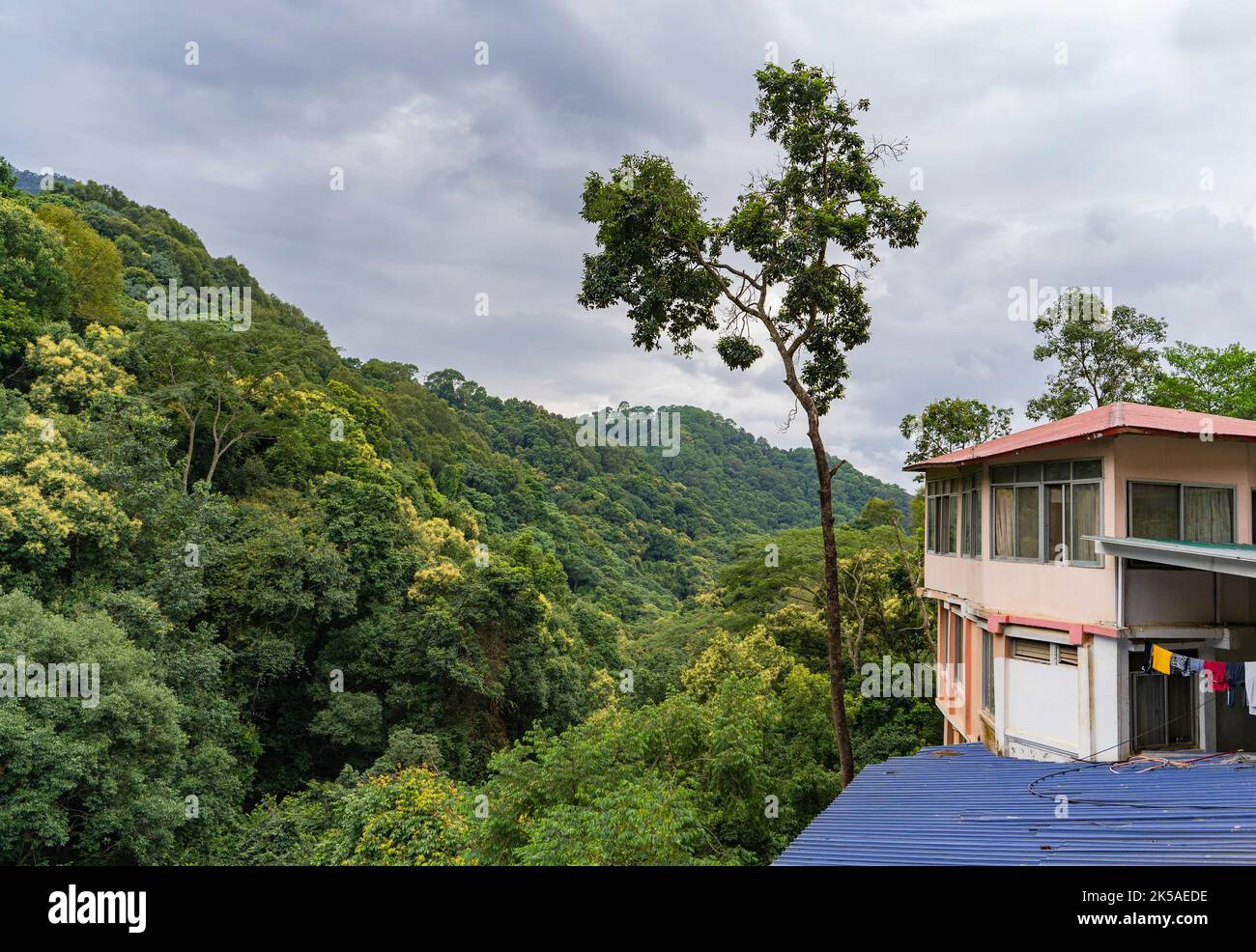Tropical forest in the hills and a house in a rainy season Stock Photo ...