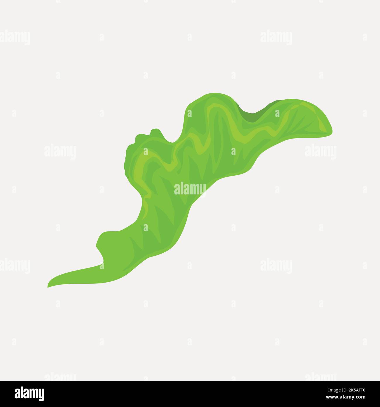 Lettuce collage element, cute illustration vector Stock Vector Image ...