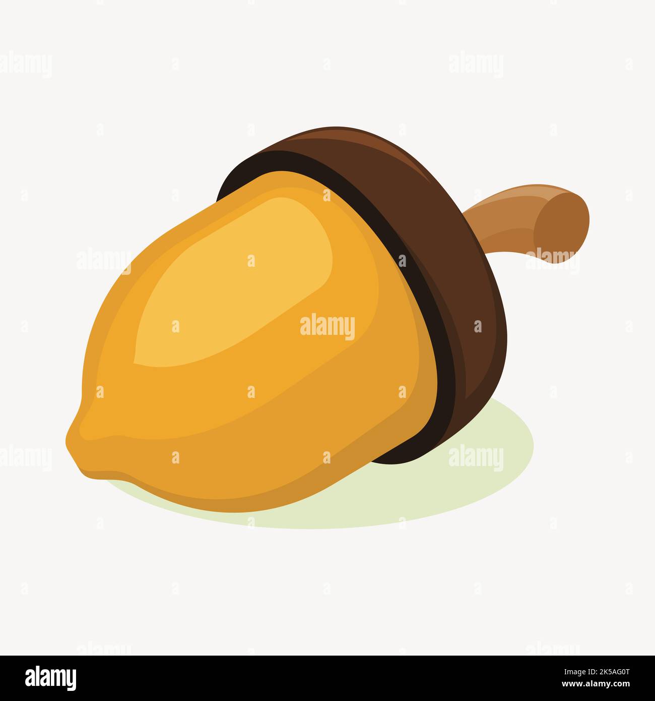 Acorn nut collage element, cute illustration vector Stock Vector Image ...
