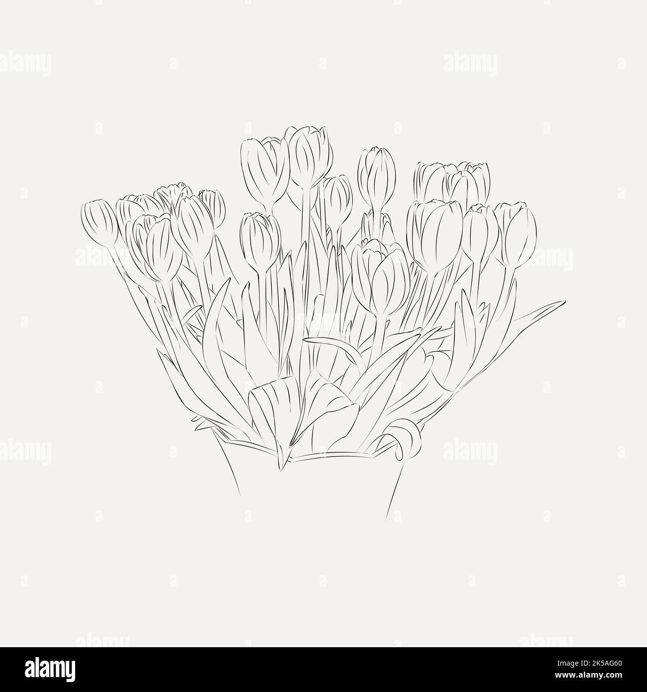 Tulips line art drawing, black and white illustration vector Stock ...