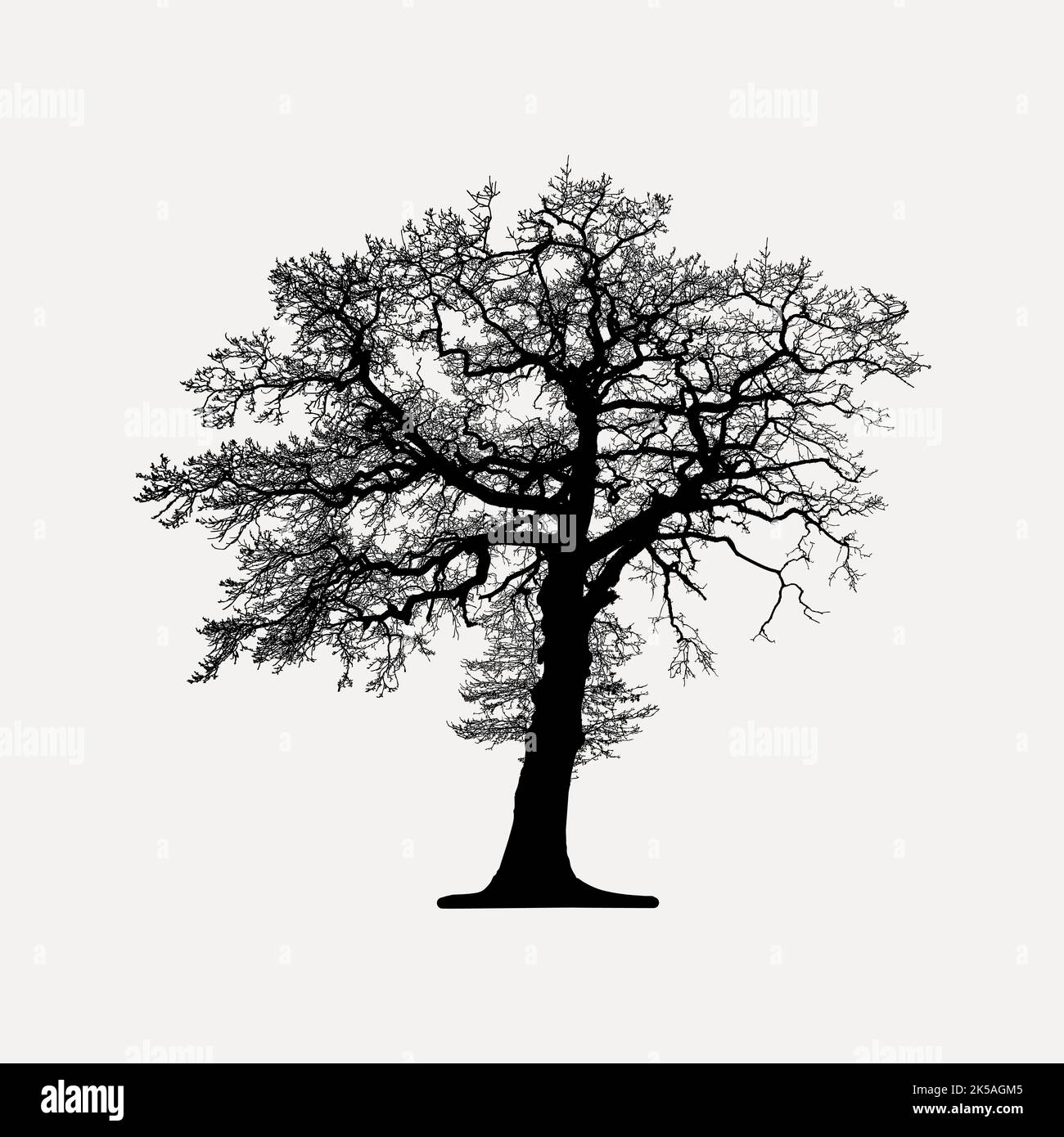Leafless tree silhouette clipart, nature illustration vector Stock ...