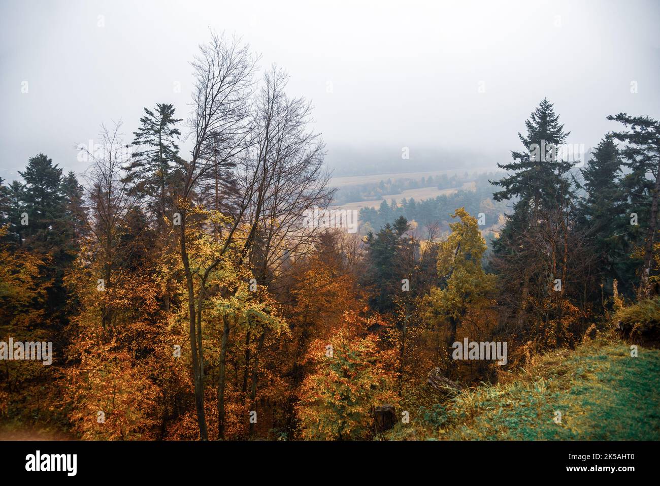 Golden autumn in the forests of Slovakia Stock Photo - Alamy
