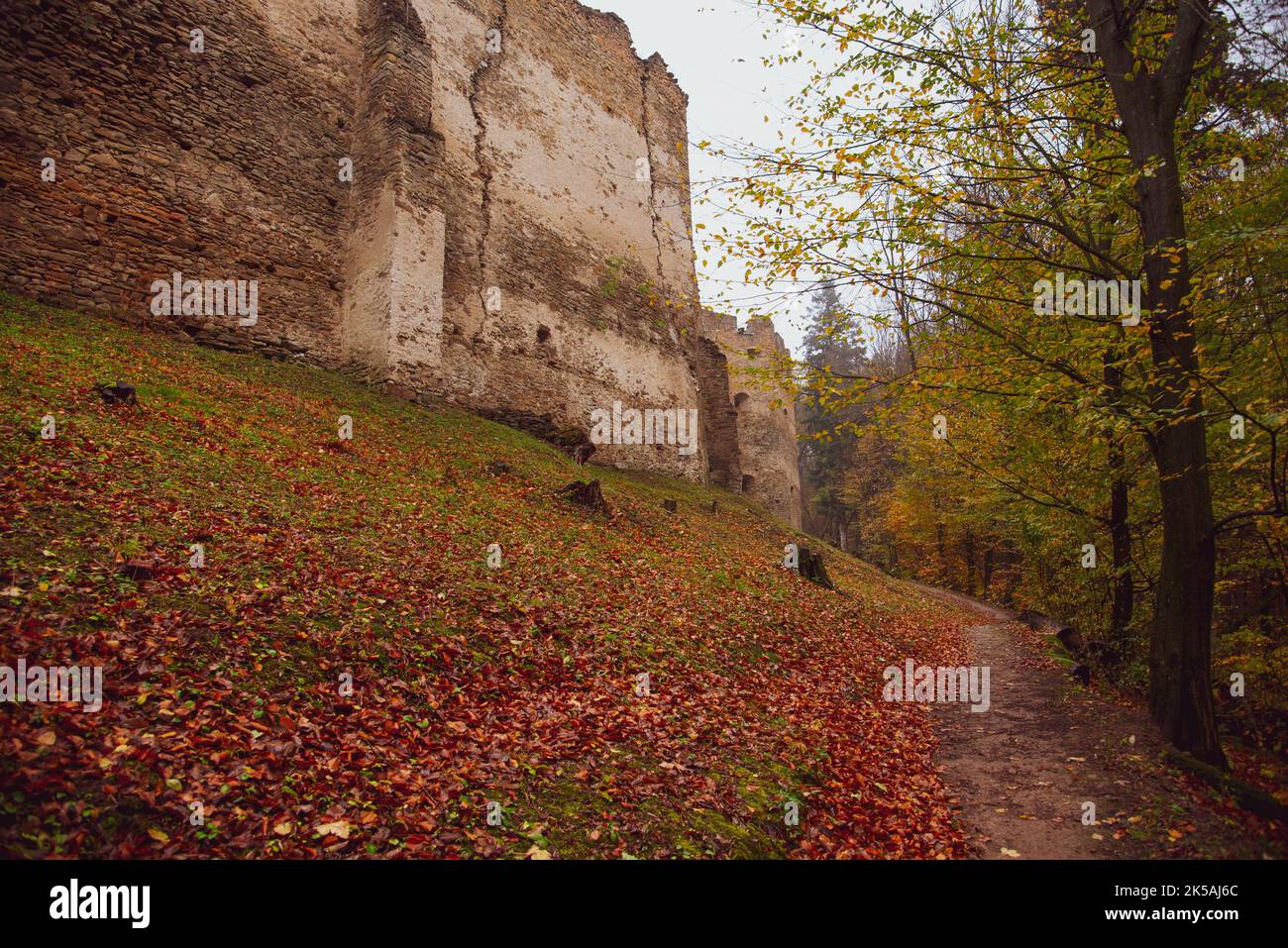 Ruins of the medieval Zborov (Makovica) Castle in Eastern Slovakia ...