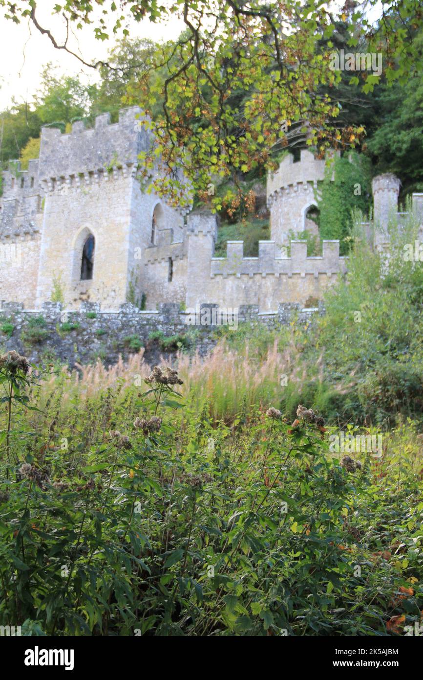 Gwrych Castle in Wales Stock Photo - Alamy