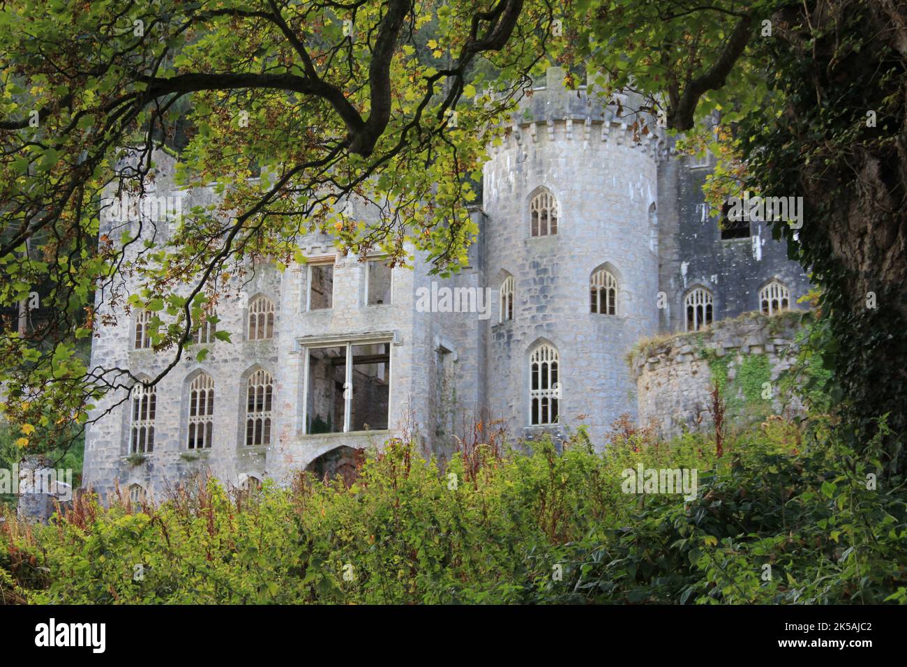 Gwrych Castle in Wales Stock Photo - Alamy