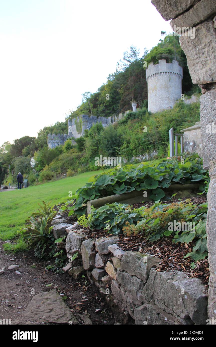 Gwrych Castle in Wales Stock Photo - Alamy