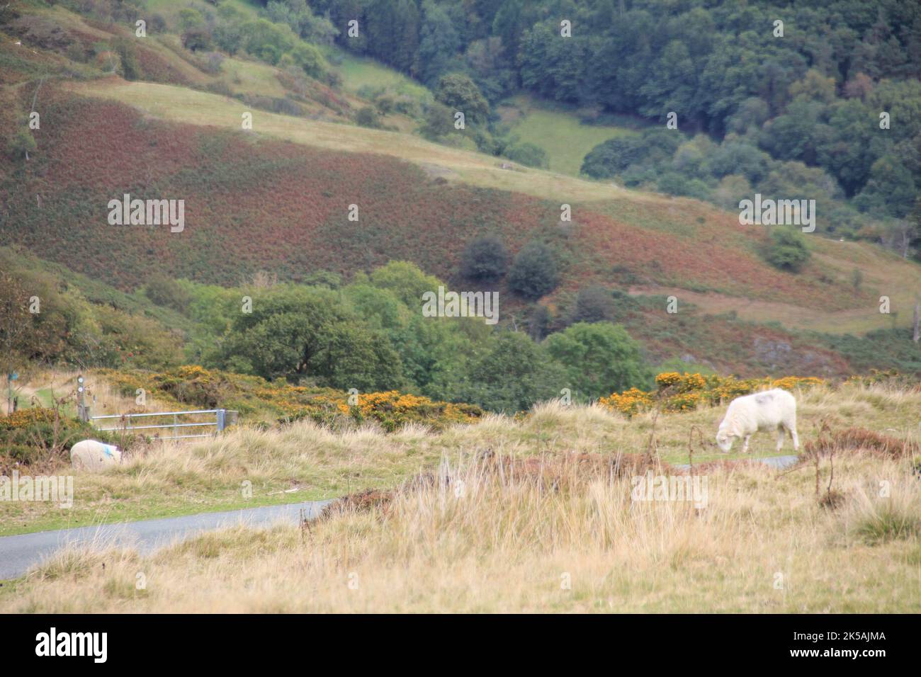 Horseshoe Pass in Wales Stock Photo - Alamy