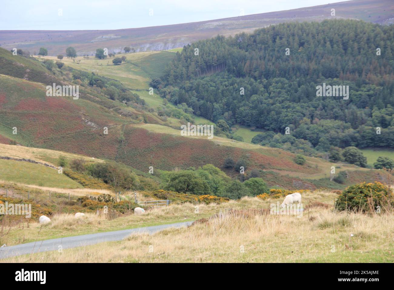 Horseshoe Pass in Wales Stock Photo - Alamy