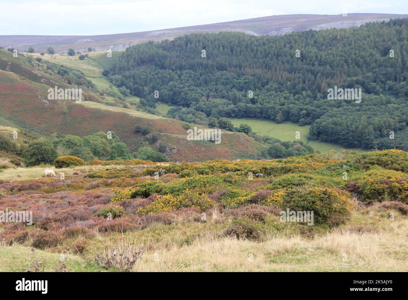 Horseshoe Pass in Wales Stock Photo - Alamy