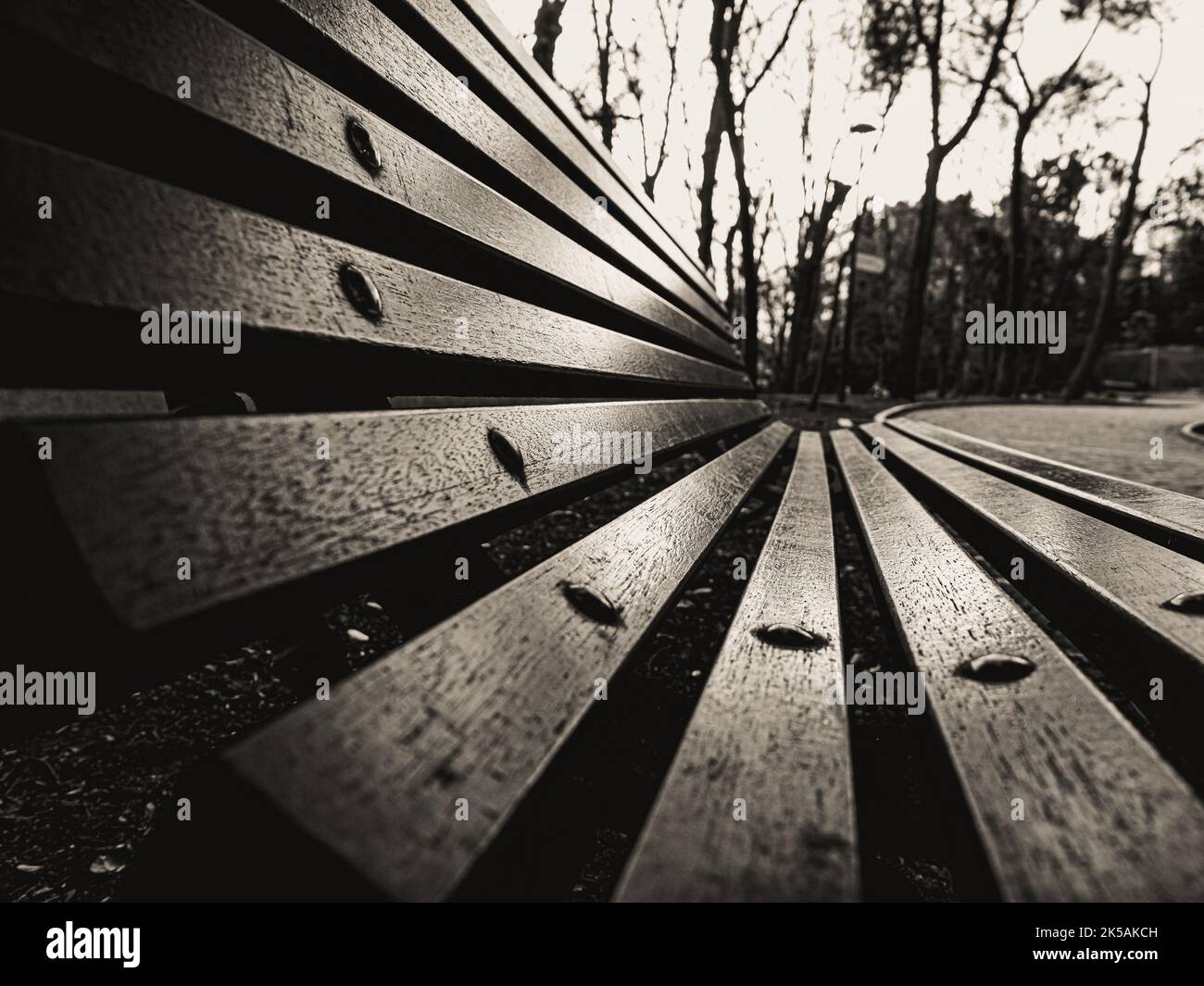 Close-up view of an empty wooden bench outdoors in a park Stock Photo ...