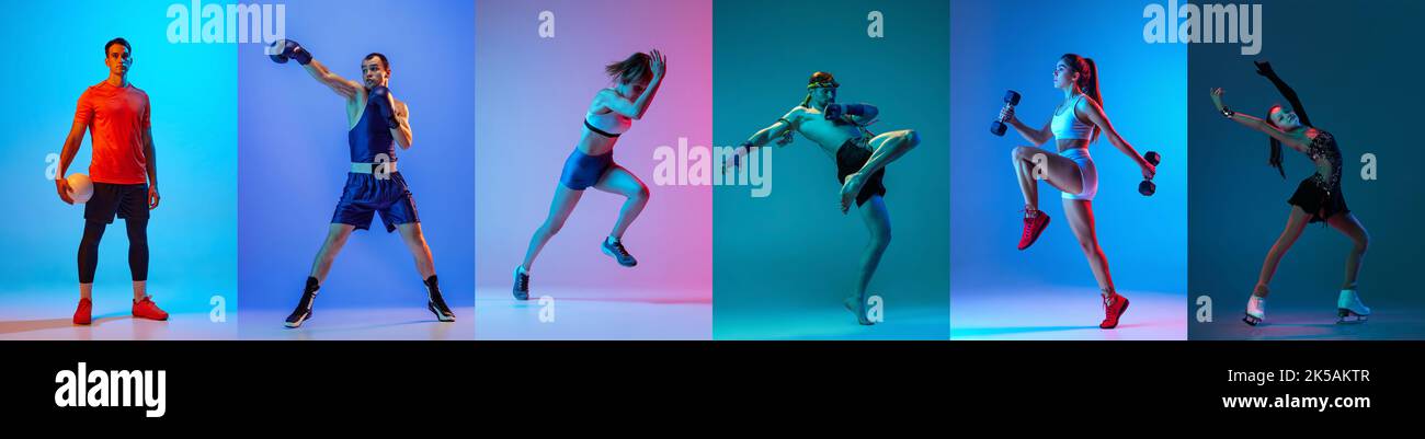 Sport collage of professional athletes posing isolated on multicolored ...