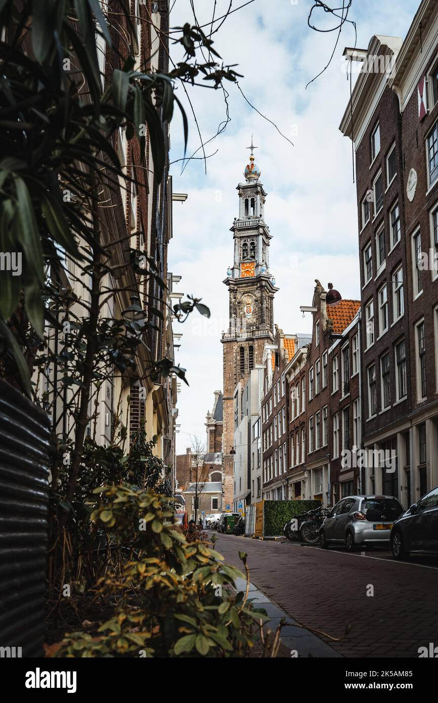 Westerkerk in Amsterdam with golden light Netherlands Holland Stock ...