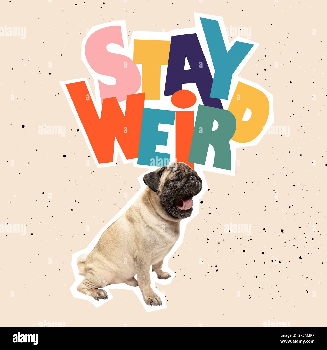 Contemporary art collage, design in magazine style with dog isolated ...