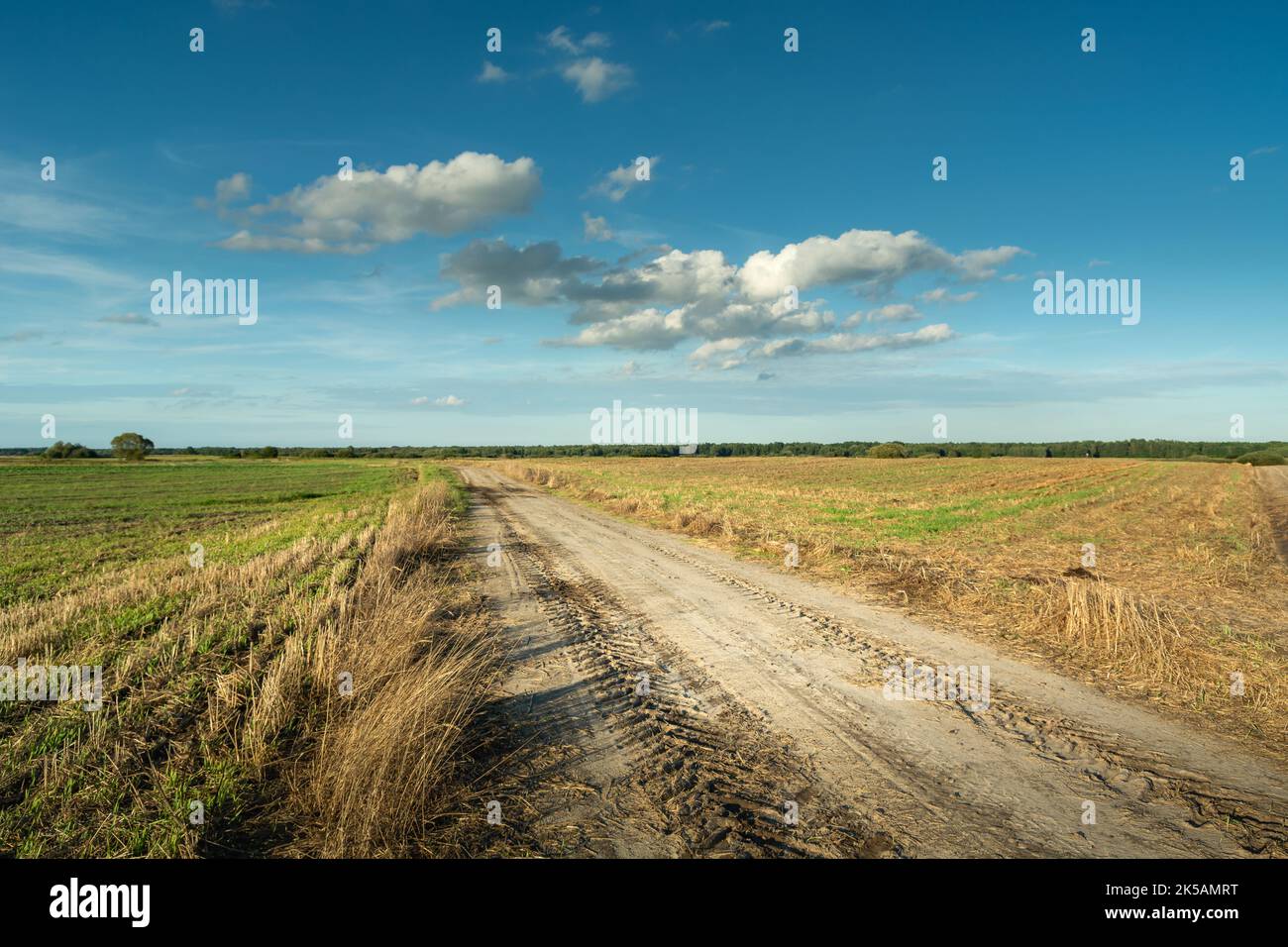 Dirt road between farming hi-res stock photography and images - Alamy