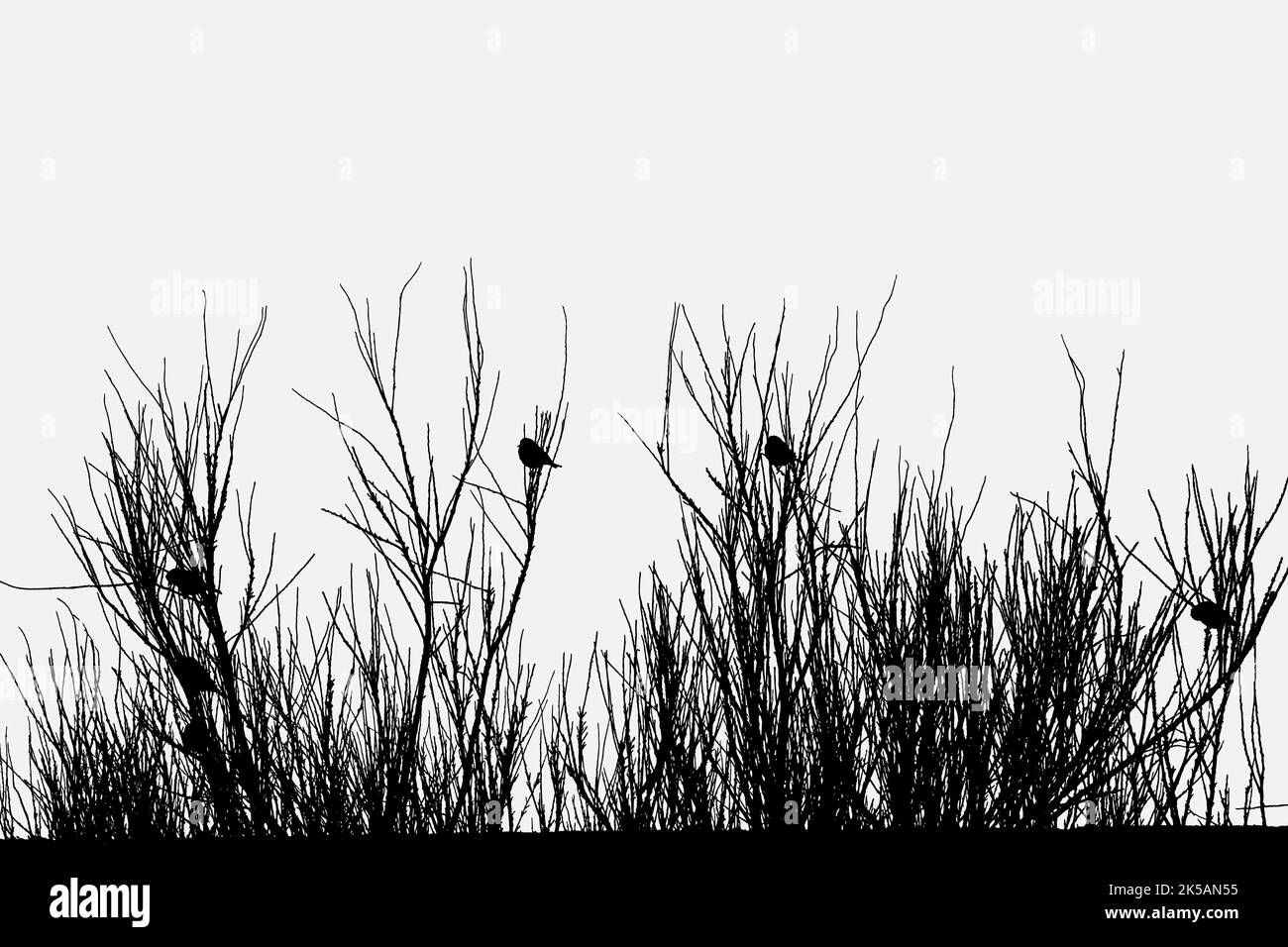 Leafless bush silhouette border clipart, nature illustration vector ...
