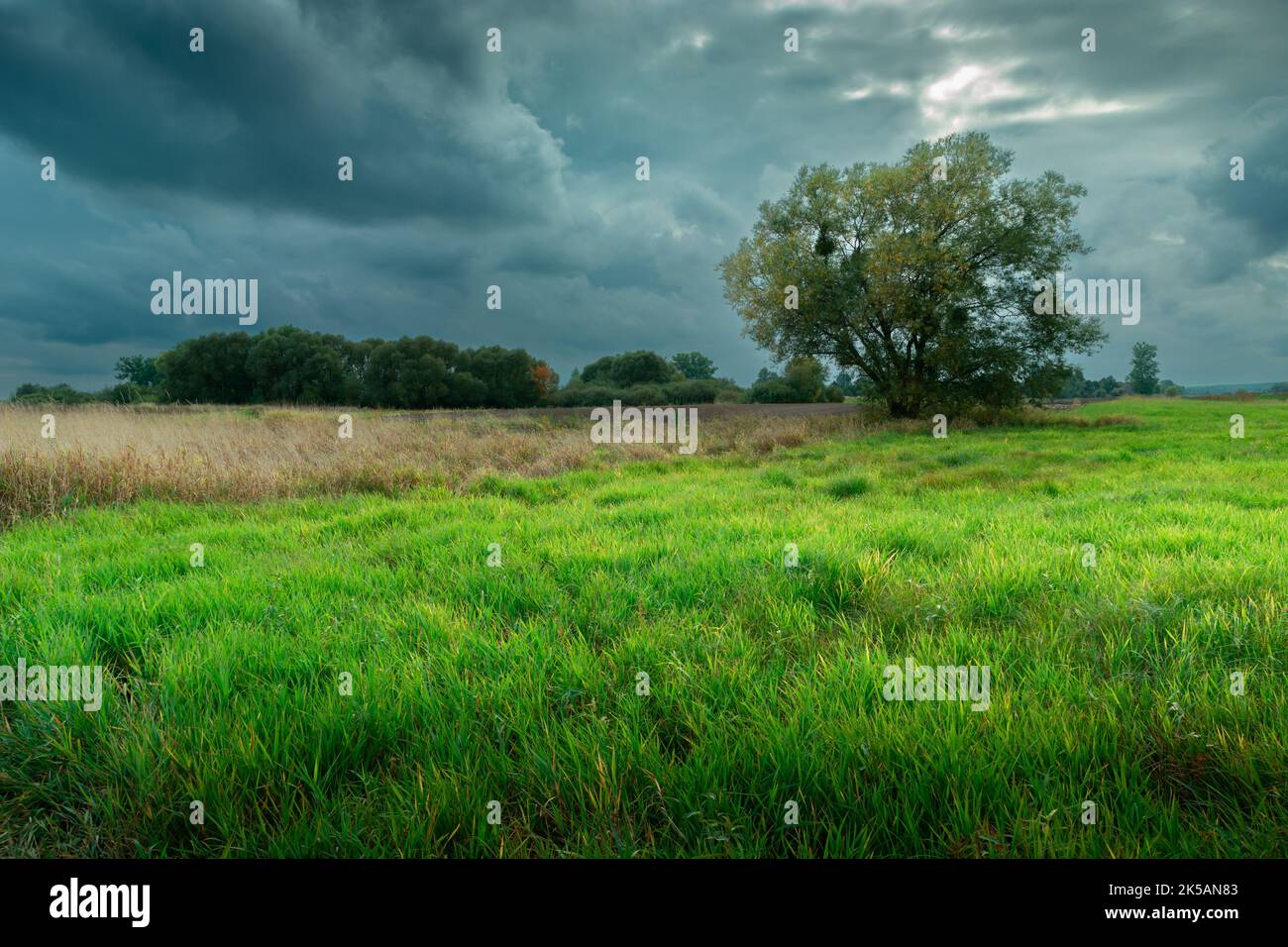 Overcast day climate hi-res stock photography and images - Alamy