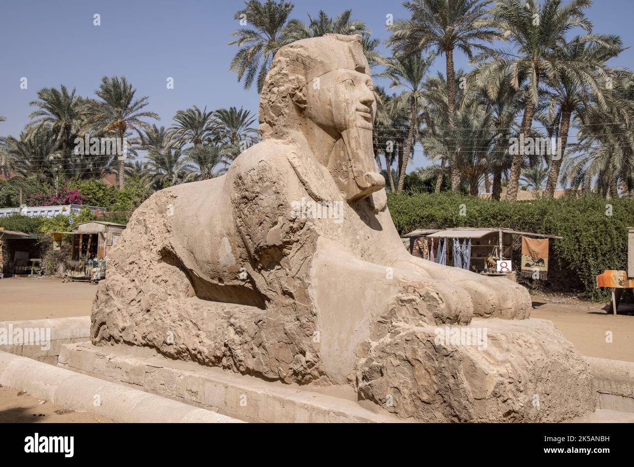 a sphinx outside the temple of ptah in memphis the ancient capital of ...