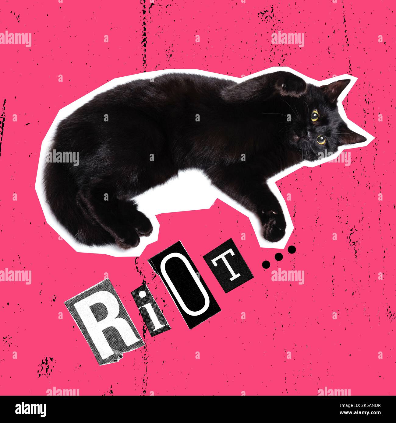 Contemporary art collage, design in magazine style with cat isolated ...
