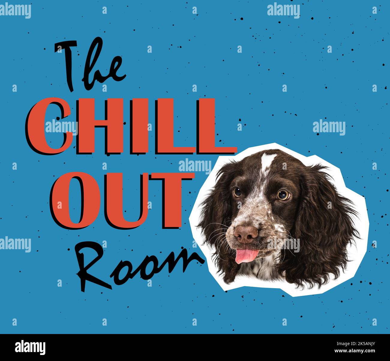 Contemporary art collage, design in magazine style with dog isolated ...