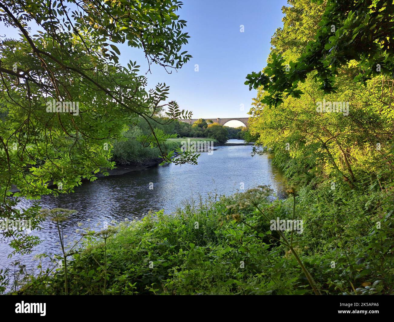 A green landscape with a river Stock Photo - Alamy