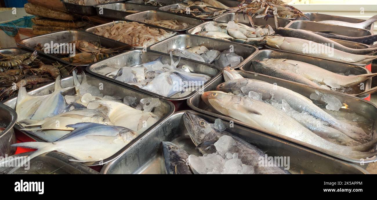 The fish in the containers at the fish market Stock Photo - Alamy