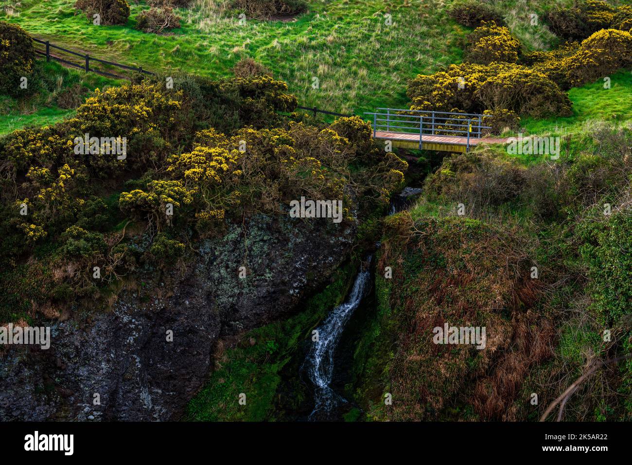 Stream and waterfall under a walkway and bridge with green lush grass ...