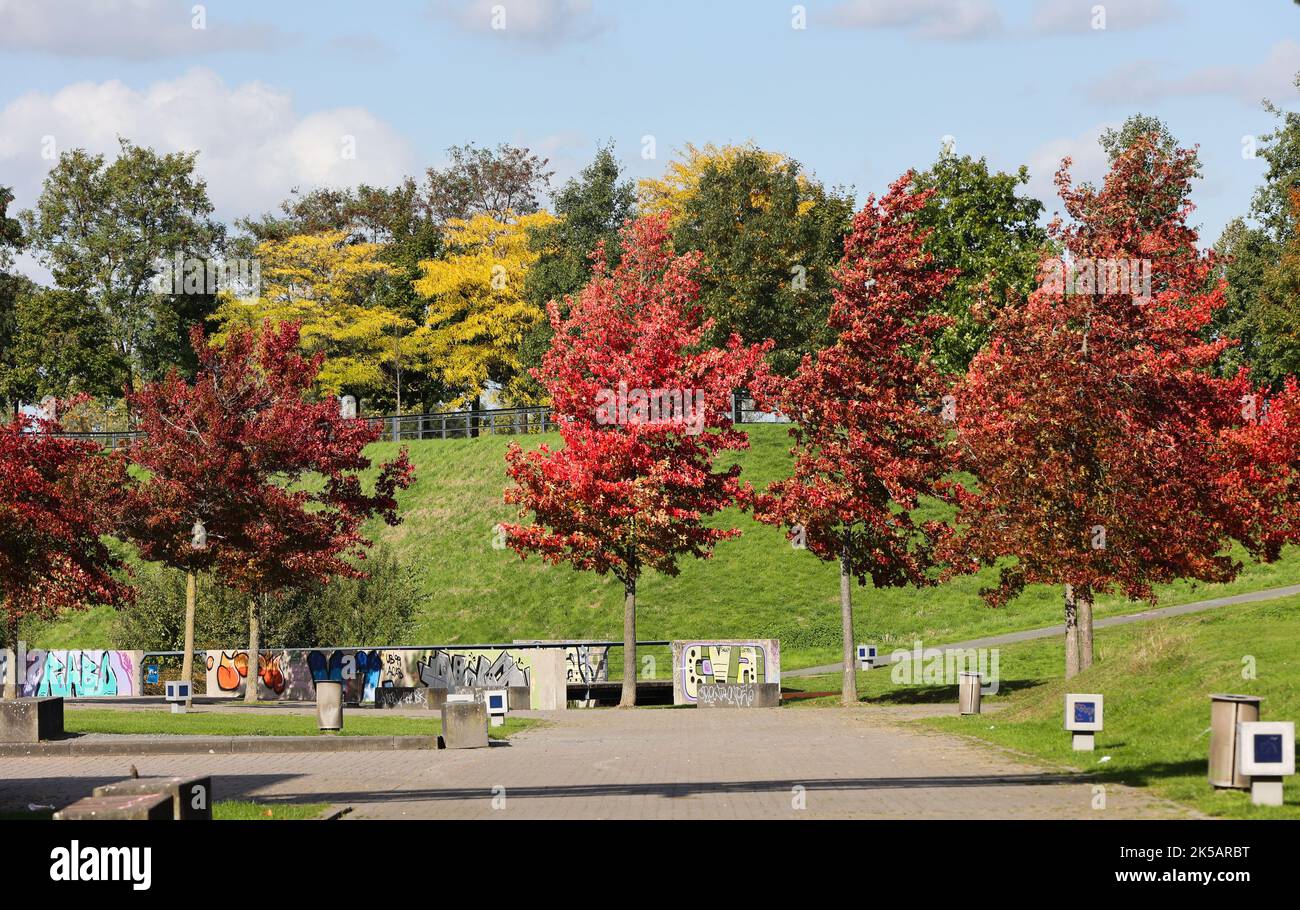 Trees in the Westpark on the site of the former Krupp steelworks in ...