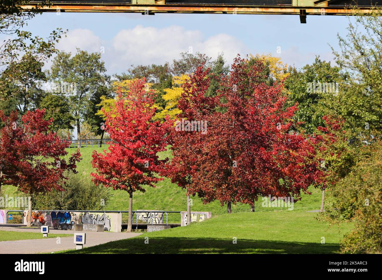 Trees in the Westpark on the site of the former Krupp steelworks in ...