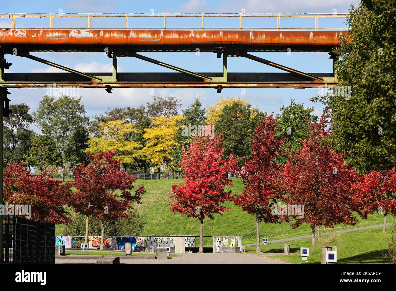 Trees in the Westpark on the site of the former Krupp steelworks in ...