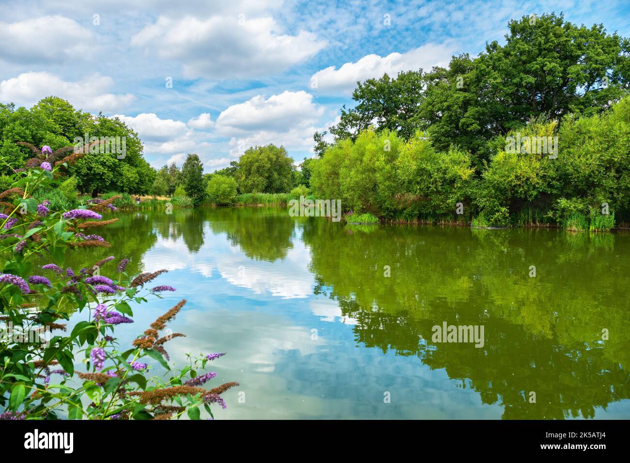 View of Mount Pond in Clapham Common park. London. England, UK Stock ...