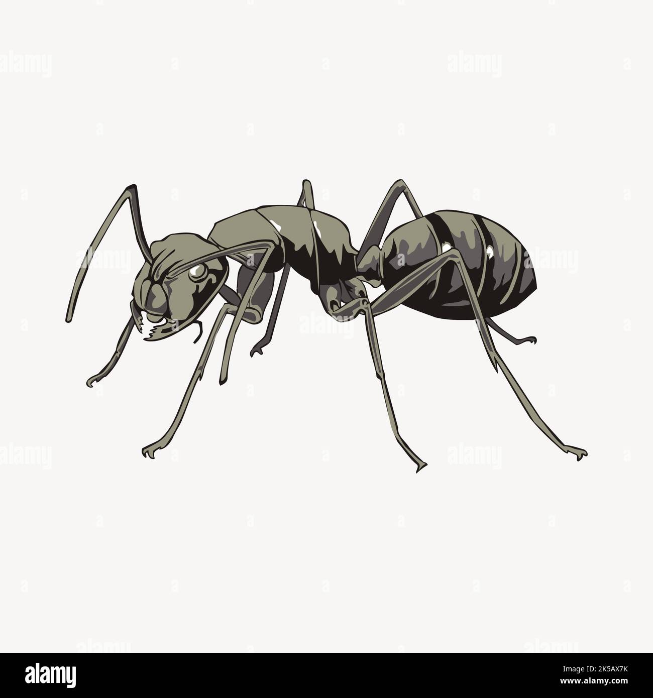 Ant collage element, animal illustration vector Stock Vector Image ...