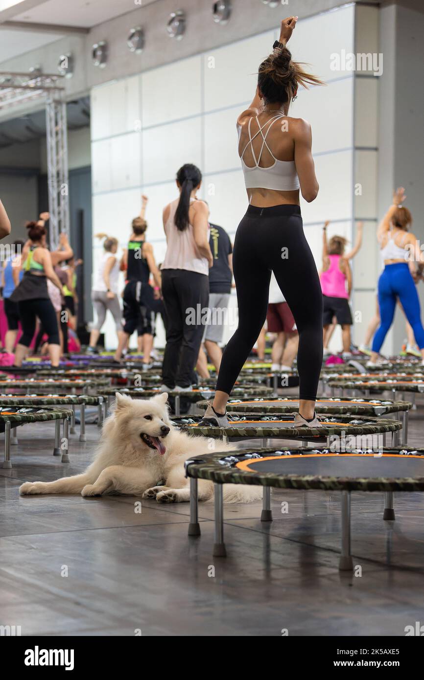 Single Rebounder Workout: Girl doing Fitness Exercise in Class at Gym ...