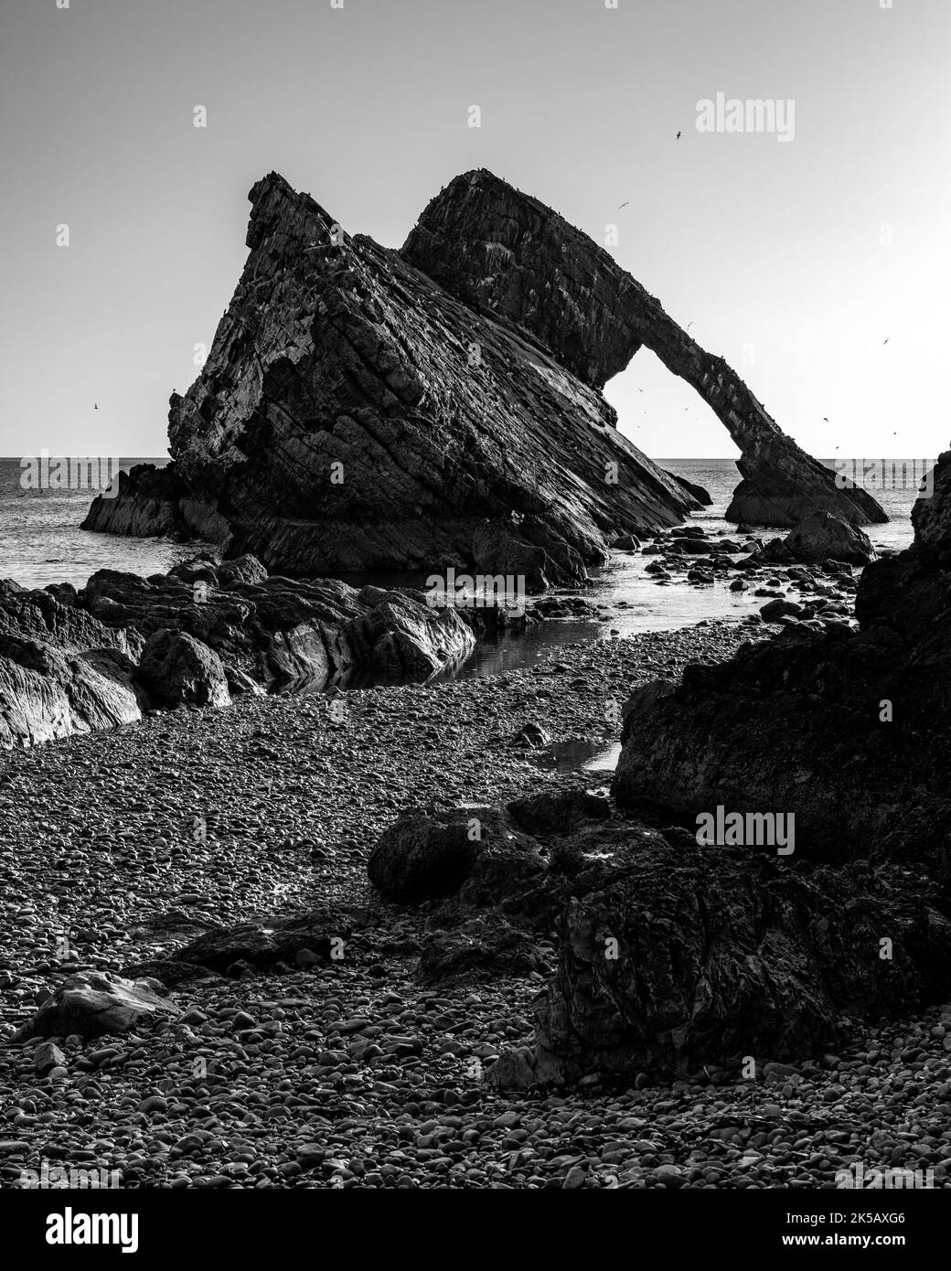 On the fiddle Black and White Stock Photos & Images - Alamy