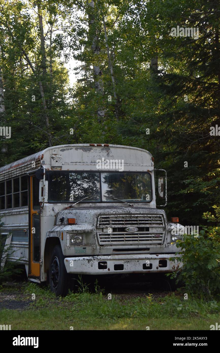 A beautiful view of an old ford bus in a field with trees Stock Photo ...